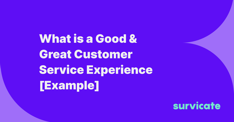 What is a Good & Great Customer Service Experience? [Example]